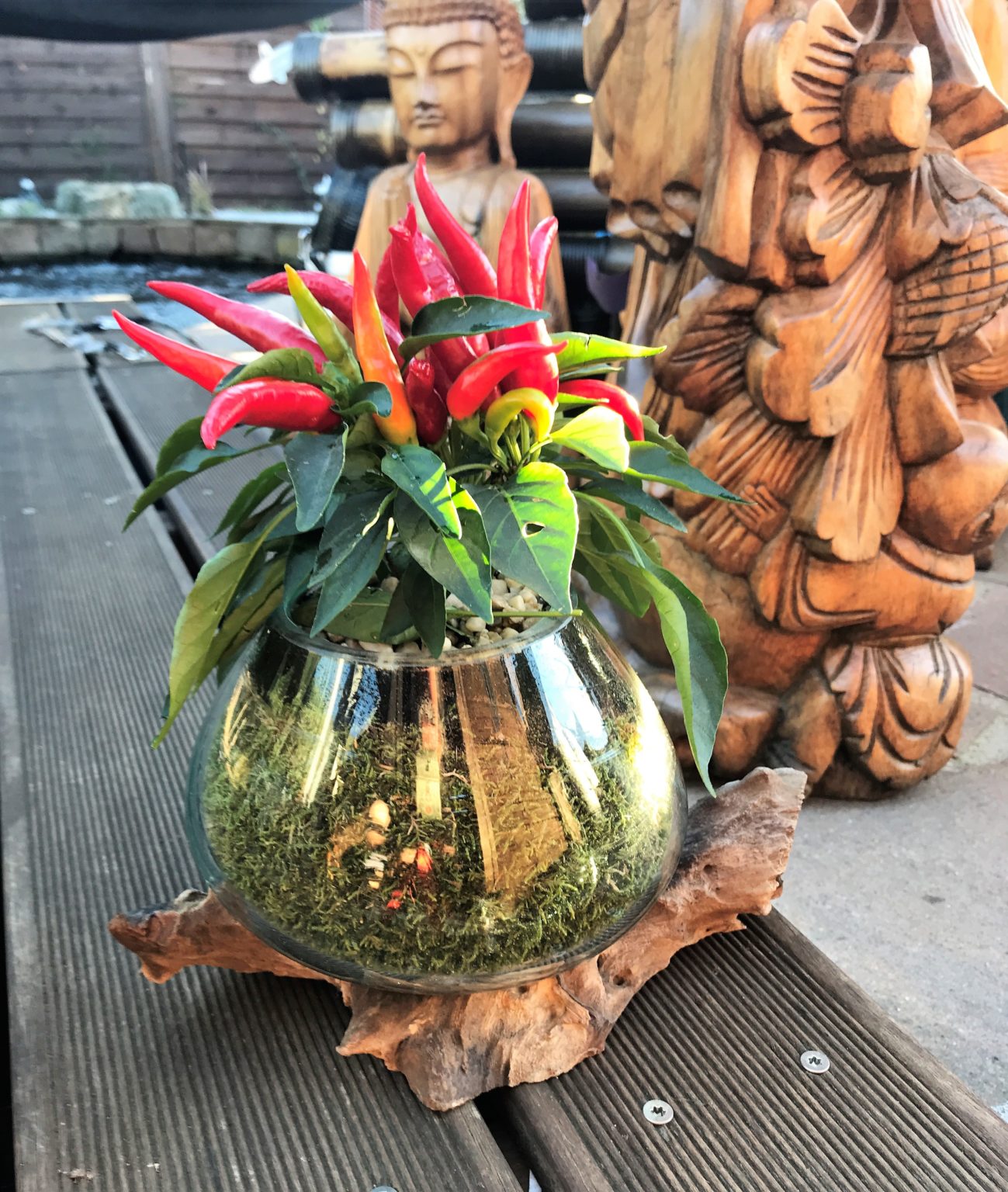 Liqva XL, Dekoglas XL,Wurzelholz Glasvase XL, Liqvavase XL,Gamal XL ...